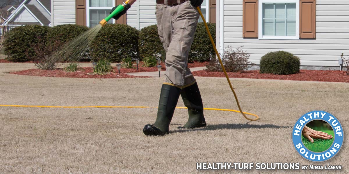 Welcome Home | Healthy-Turf Solutions